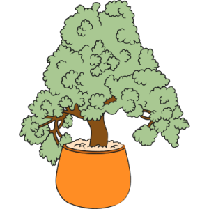 About us - Web Mersyside